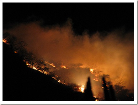 Hillside Fire on a Dry and Windy April Night
